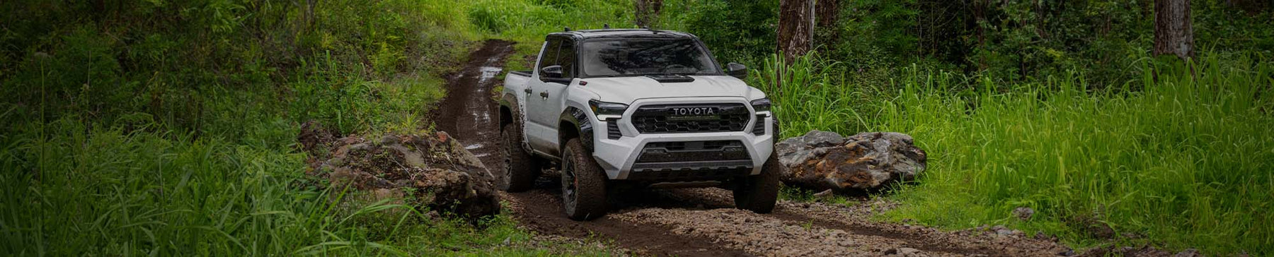 Shop All Camburg Product