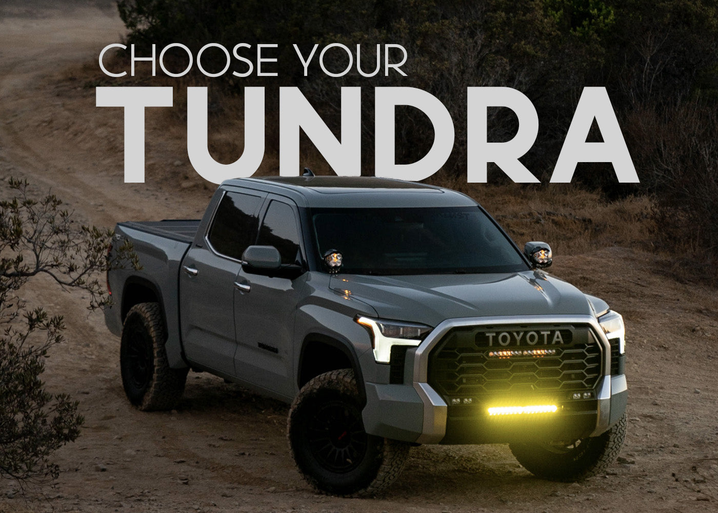 Tundra Generation Choice